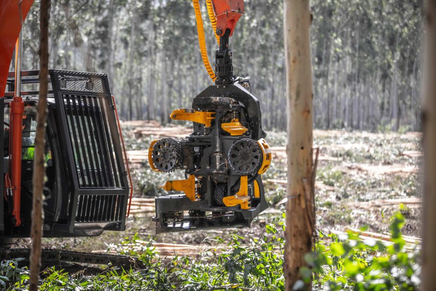 Harvester head H7 HD Euca - Inter Agrar